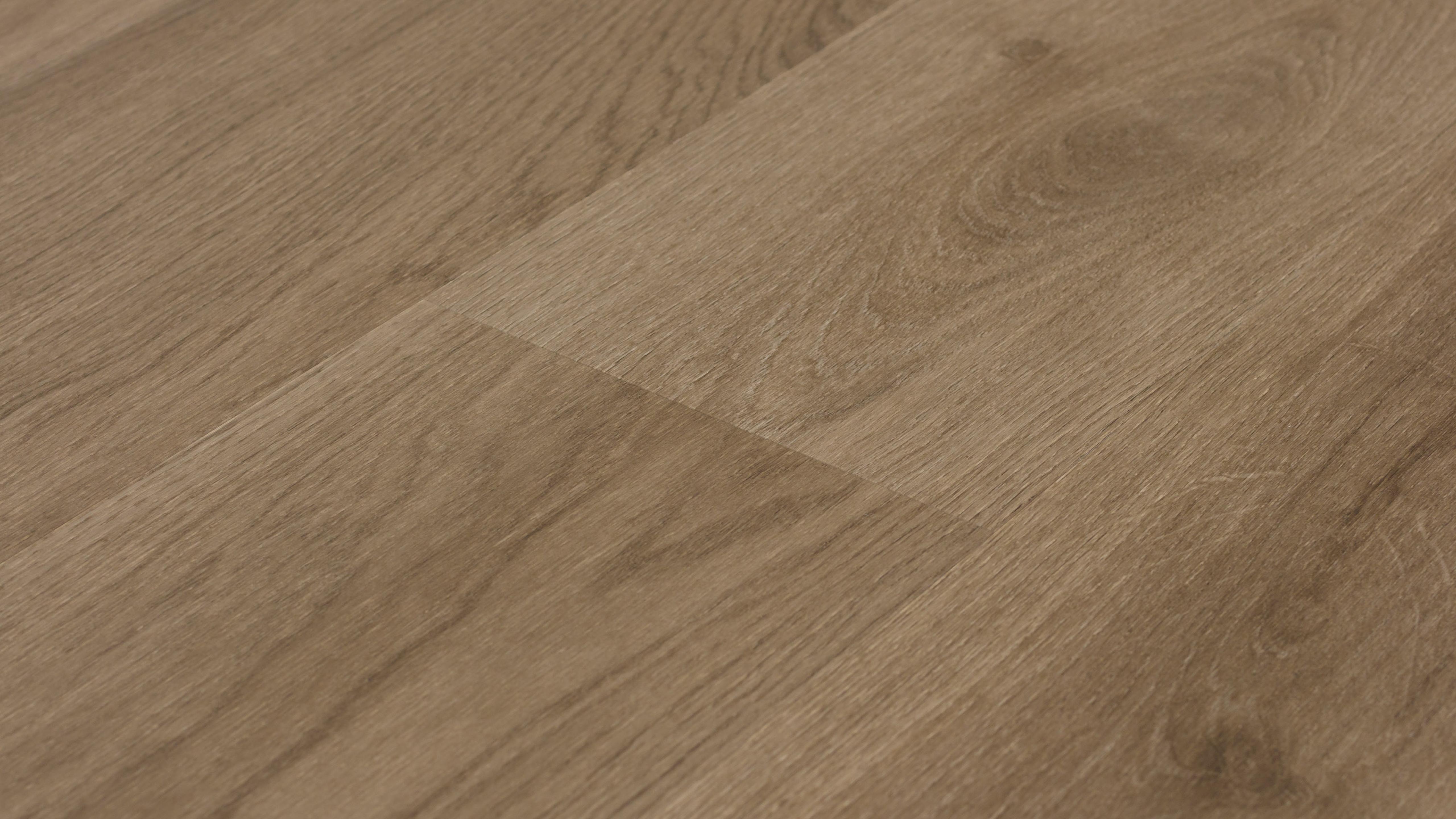 Dance Studio 2.5 | Evoke